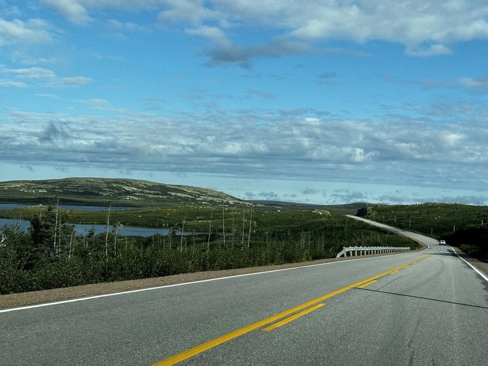 Your Newfoundland Ferry Guide: Top Tips for Taking Ferries to ...