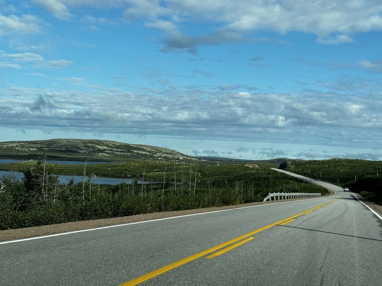 Your Newfoundland Ferry Guide: Top Tips for Taking Ferries to ...
