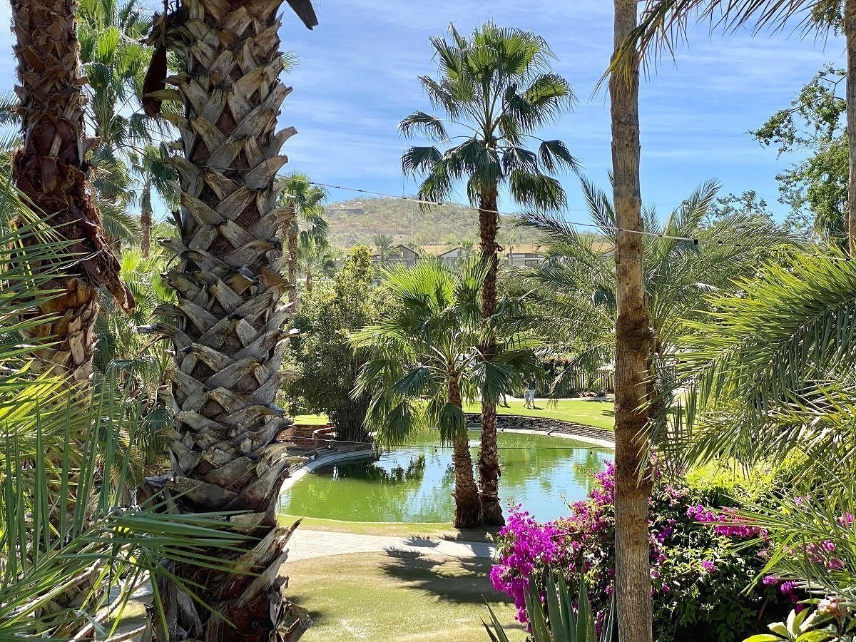 Why You Should Visit Flora Farms in Los Cabos, Mexico — travelingmitch