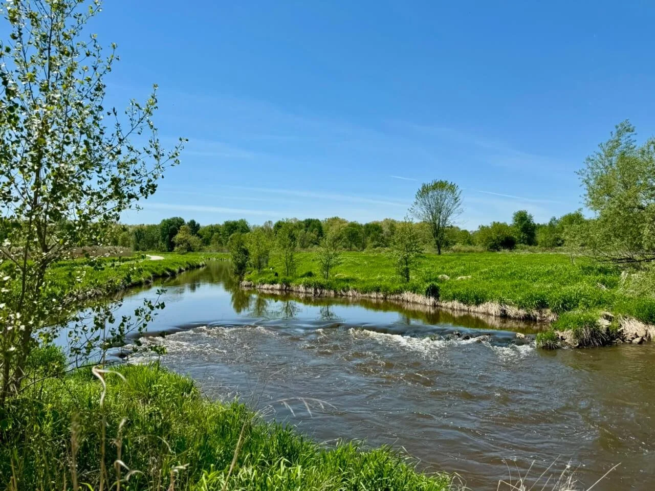 The Best Things to Do in Dexter, Michigan: How to Spend a Day in Dexter ...