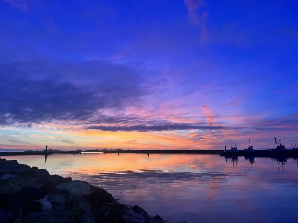 Your Newfoundland Ferry Guide: Top Tips for Taking Ferries to ...
