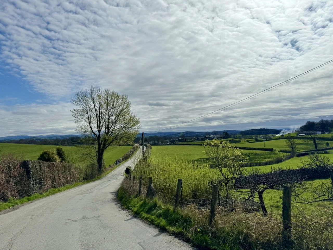 The Ultimate RV & Van Rental for Camping: Experiencing Van Life with ...