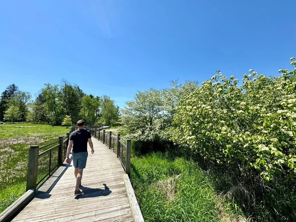 The Best Things to Do in Dexter, Michigan: How to Spend a Day in Dexter ...