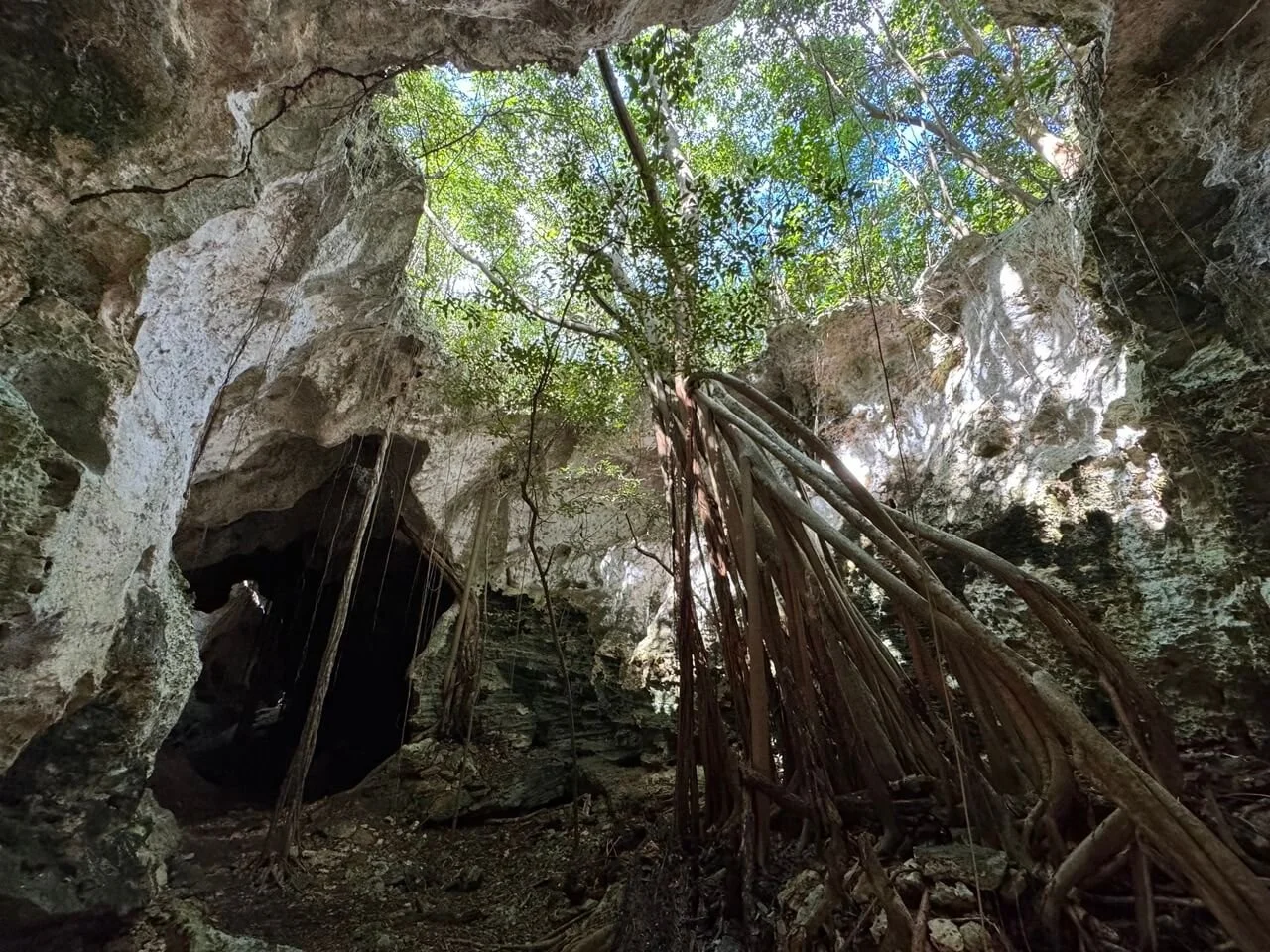 Things to Do on Eleuthera, Bahamas: Your Guide to the Island of Pink ...