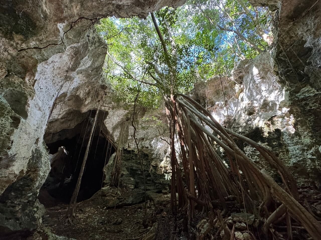 Things to Do on Eleuthera, Bahamas: Your Guide to the Island of Pink ...