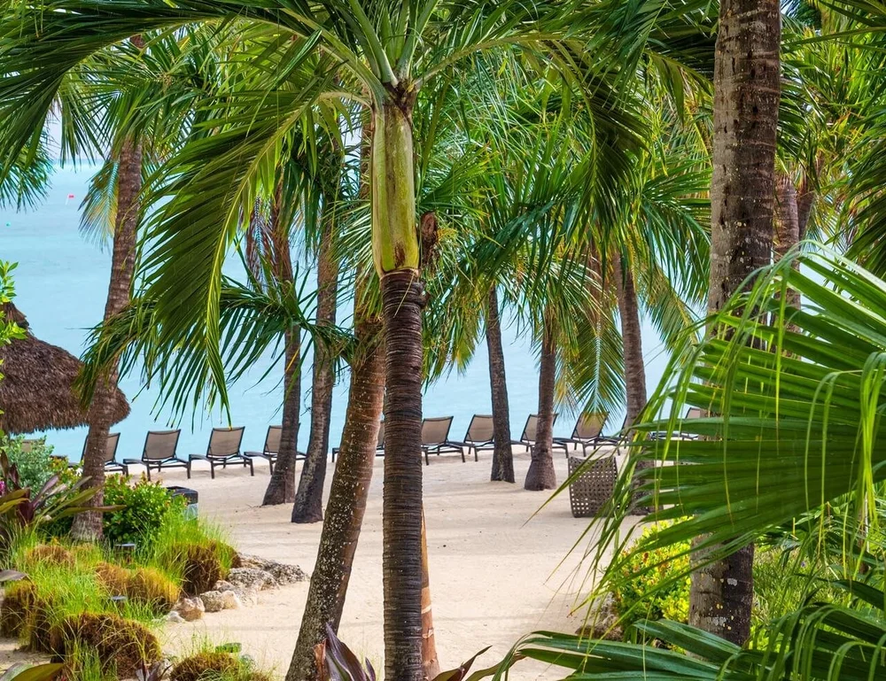 The Top Florida Keys Activities: Experiences Not to Be Missed On Your ...