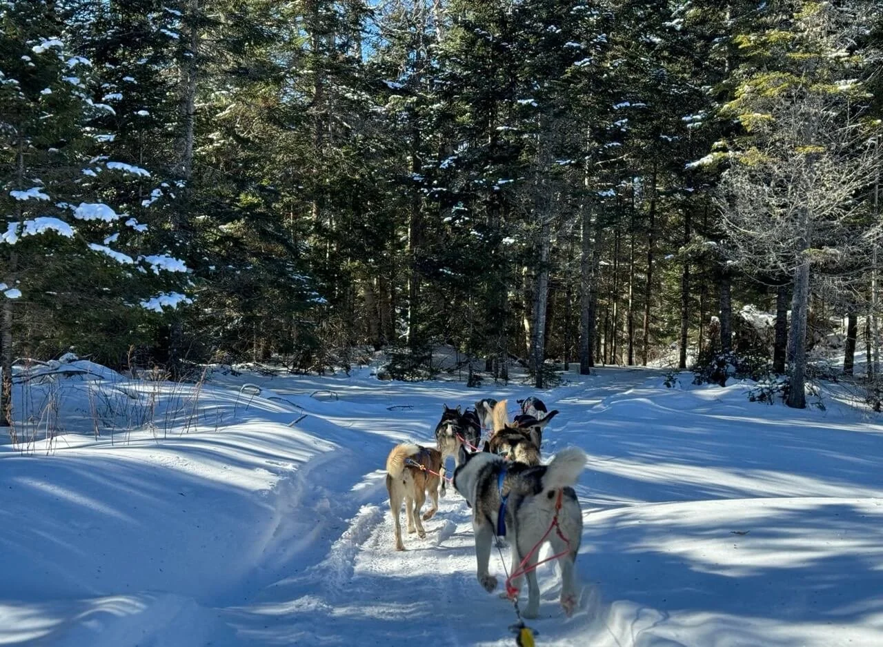 The Top Things to Do in the Laurentians for Outdoor Lovers: Embrace ...