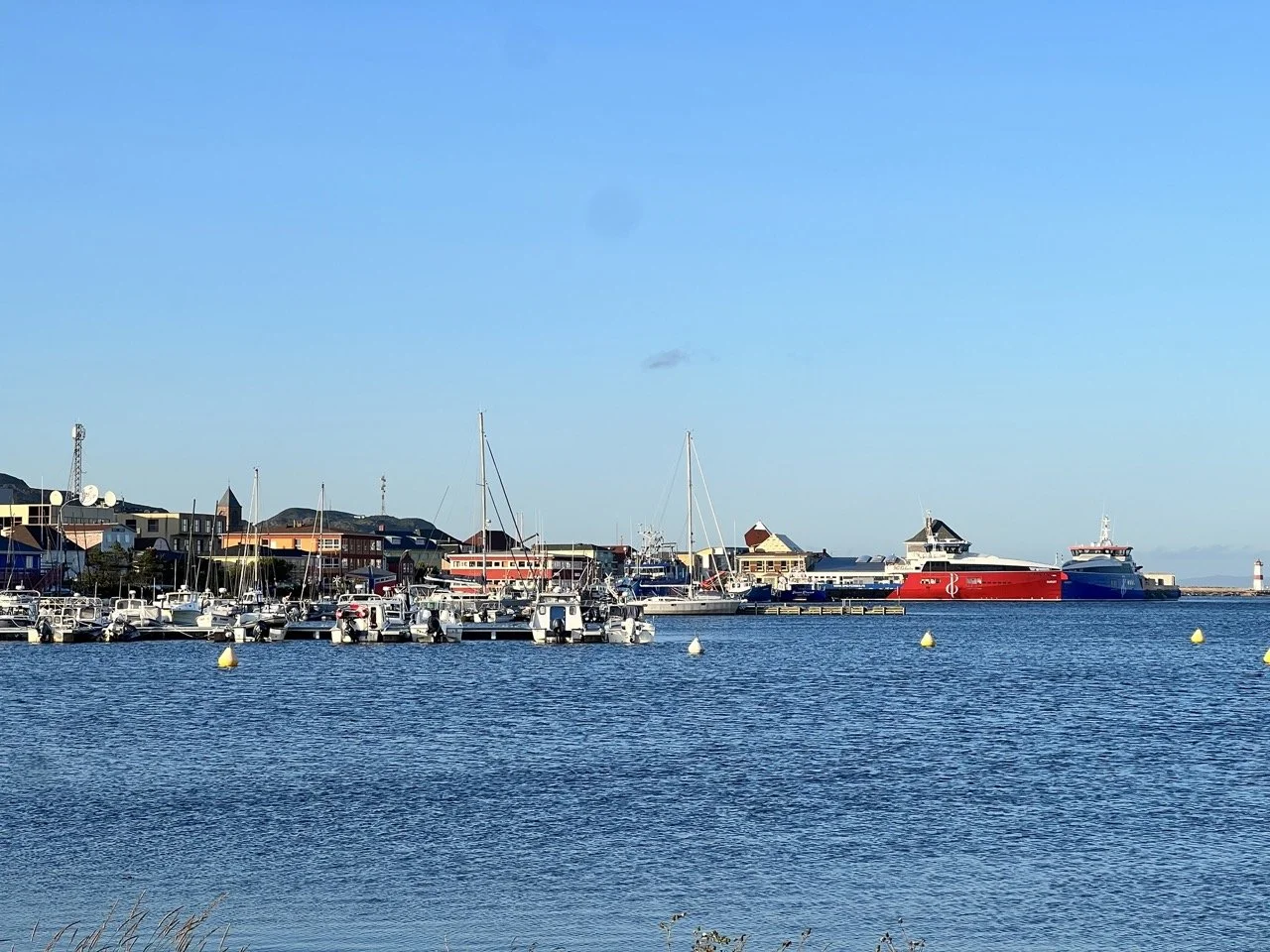 Your Newfoundland Ferry Guide: Top Tips for Taking Ferries to ...