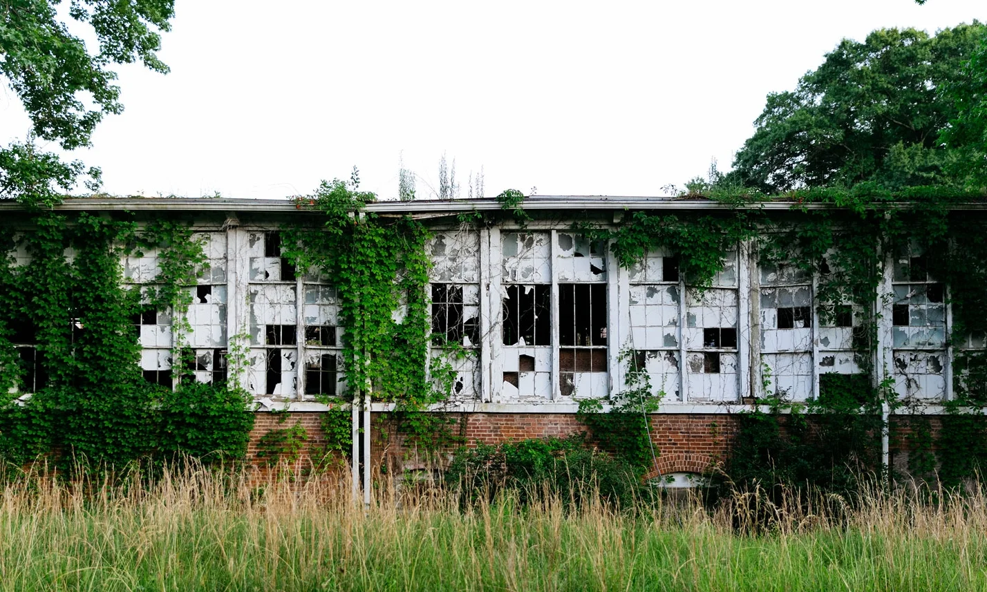 Gallery ― Southern Mill