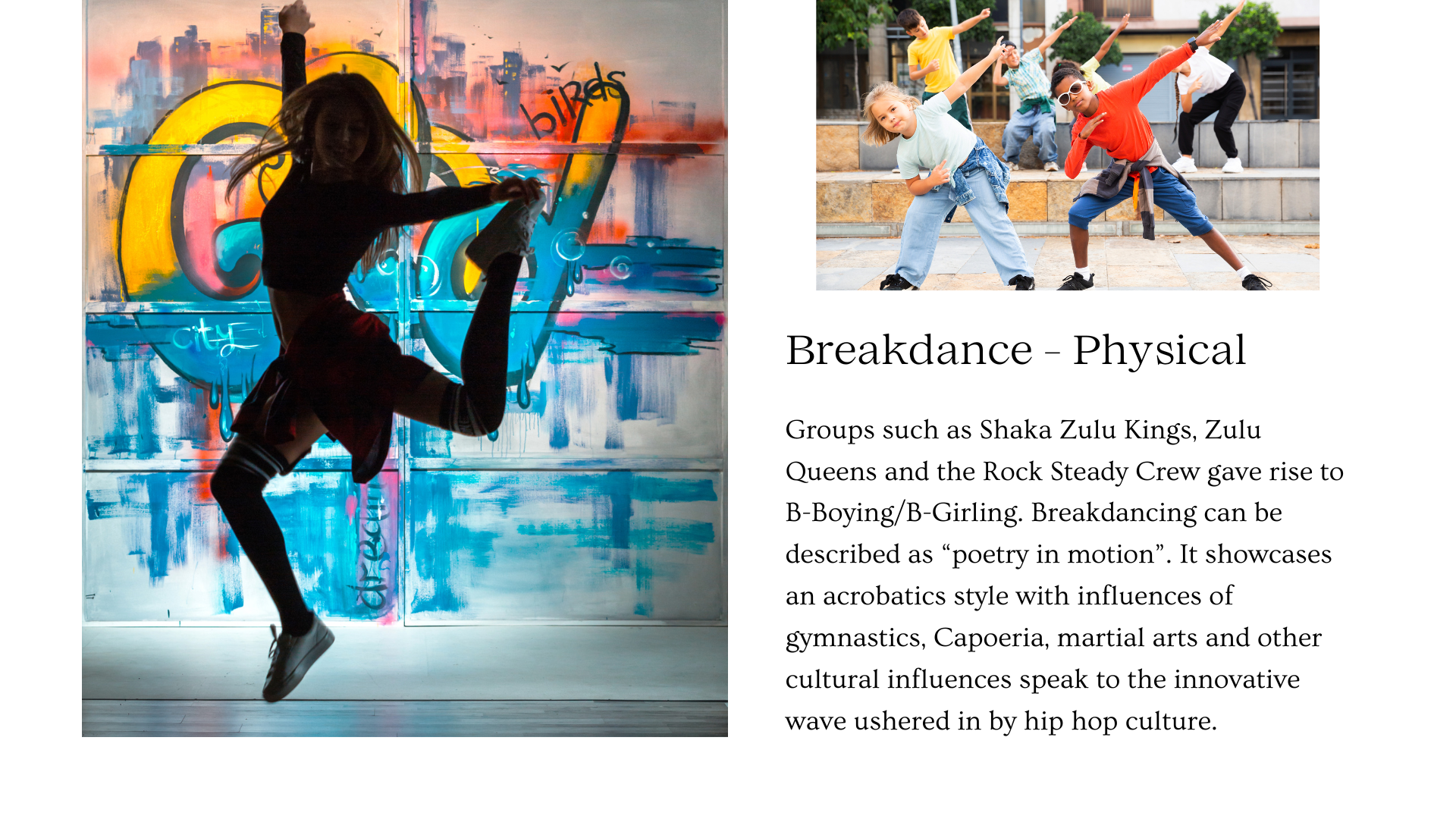 The Five Pillars of Hip Hop — HARLEM GALLERY OF SCIENCE