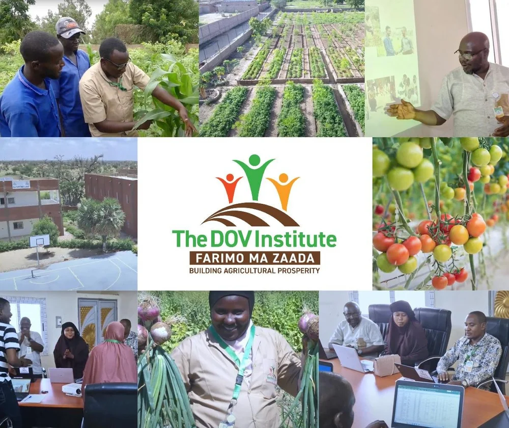 Creating an Outstanding Curriculum for the Dov Institute — Eliminate ...