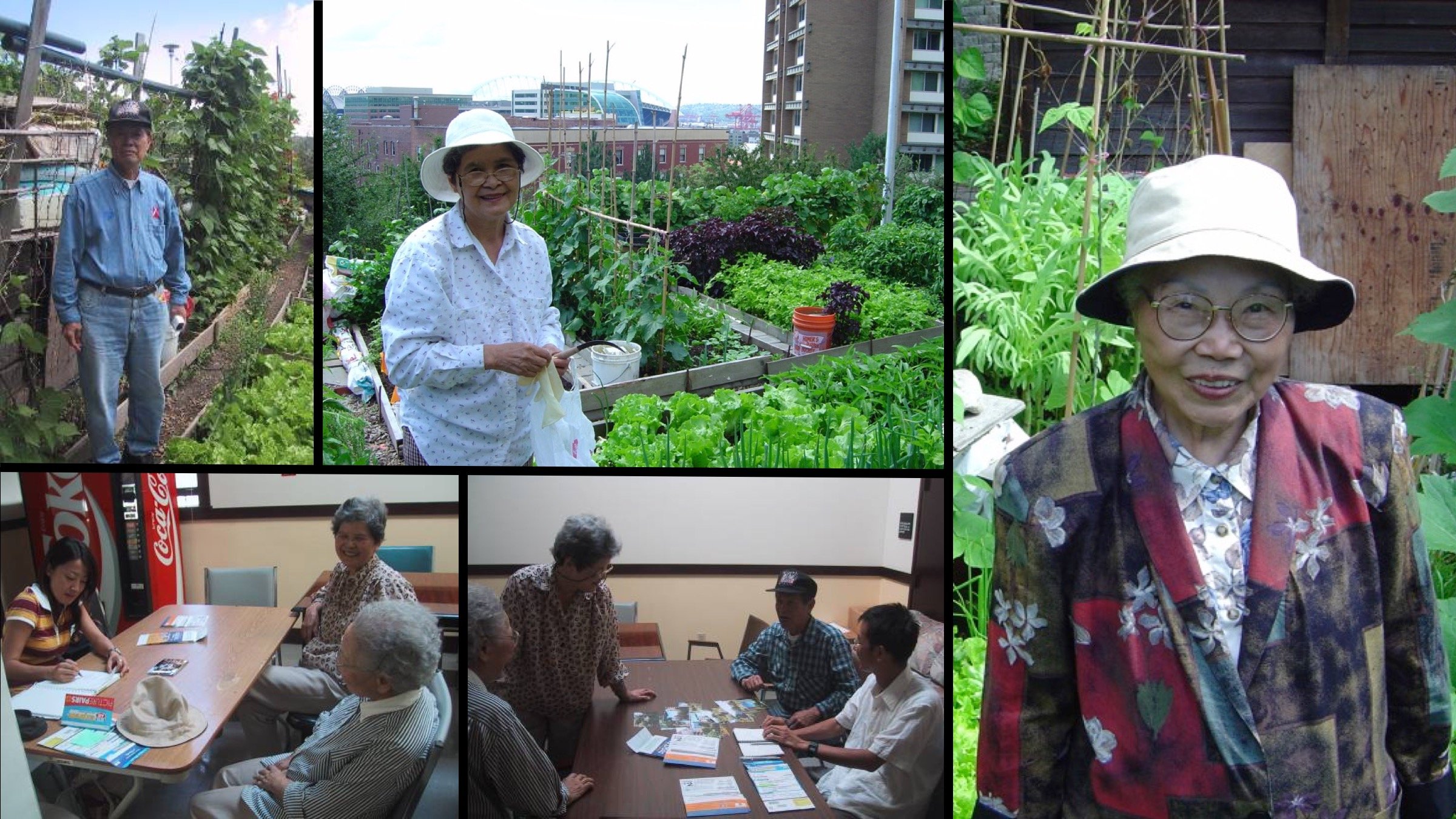 Researching and Collaborating beyond Conventions: A Graduate Student ...
