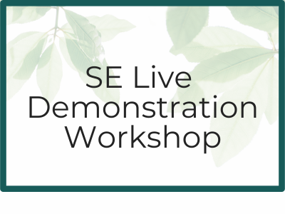Live SE Demonstration Workshops — Somatics for Healing LLC