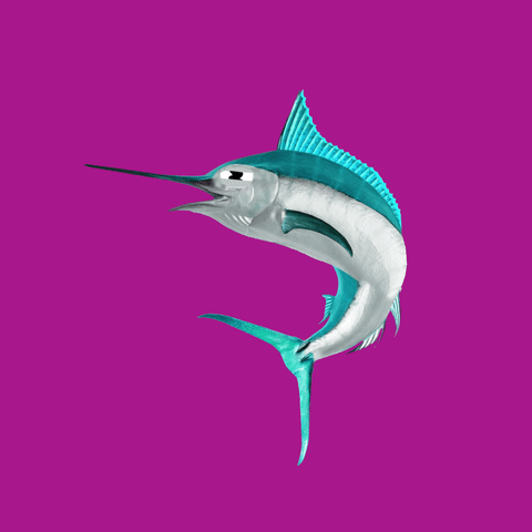 RUXLY ANIMATION — Ruxly