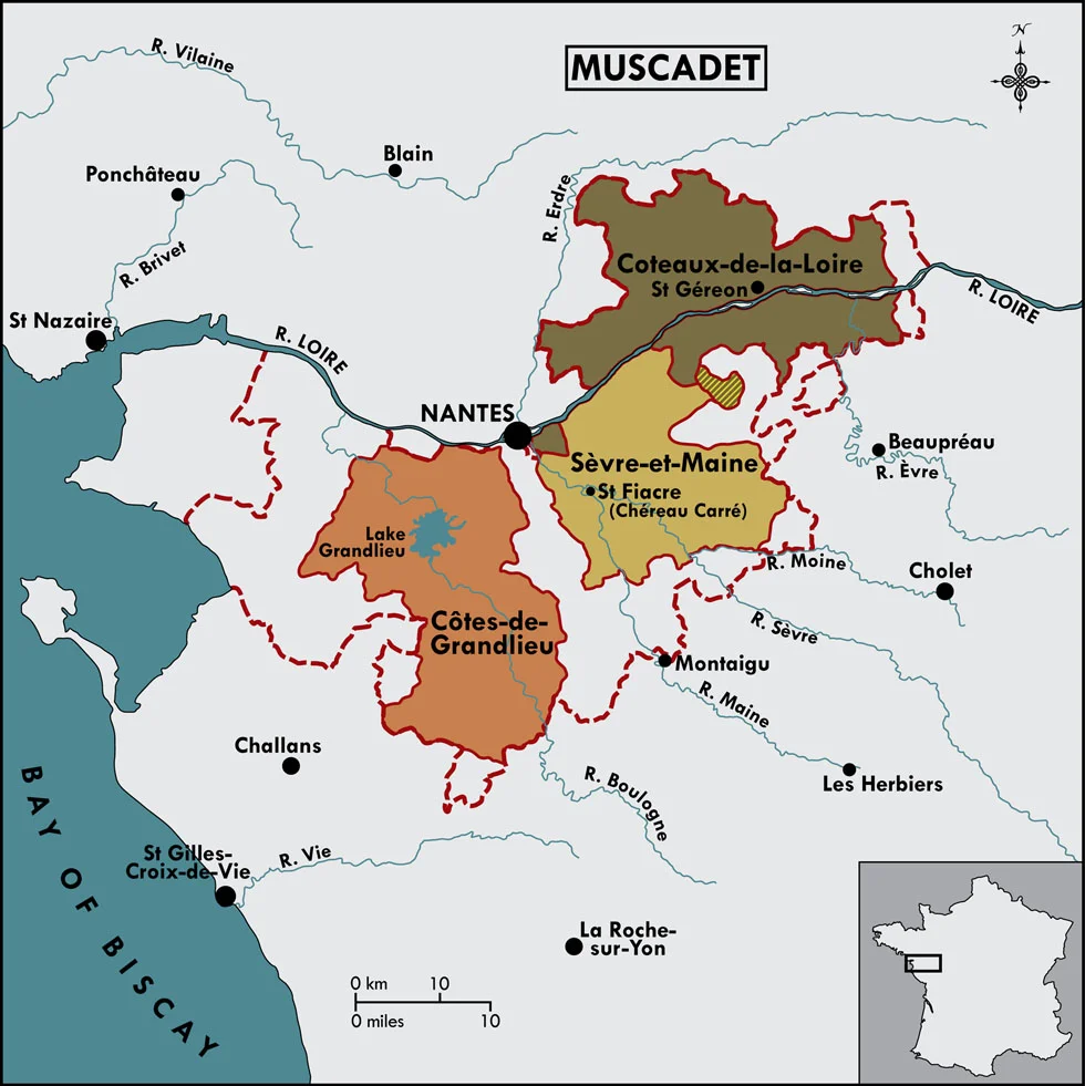 Fun To Say, Fun To Drink: Muscadet — Flight School