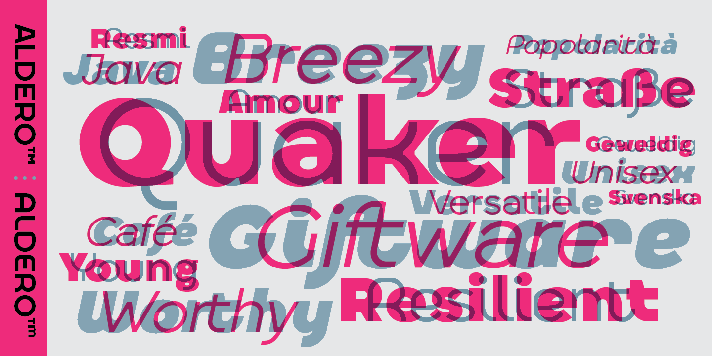 Crafted & Custom Fonts | R9 Type Design–Canadian Foundry