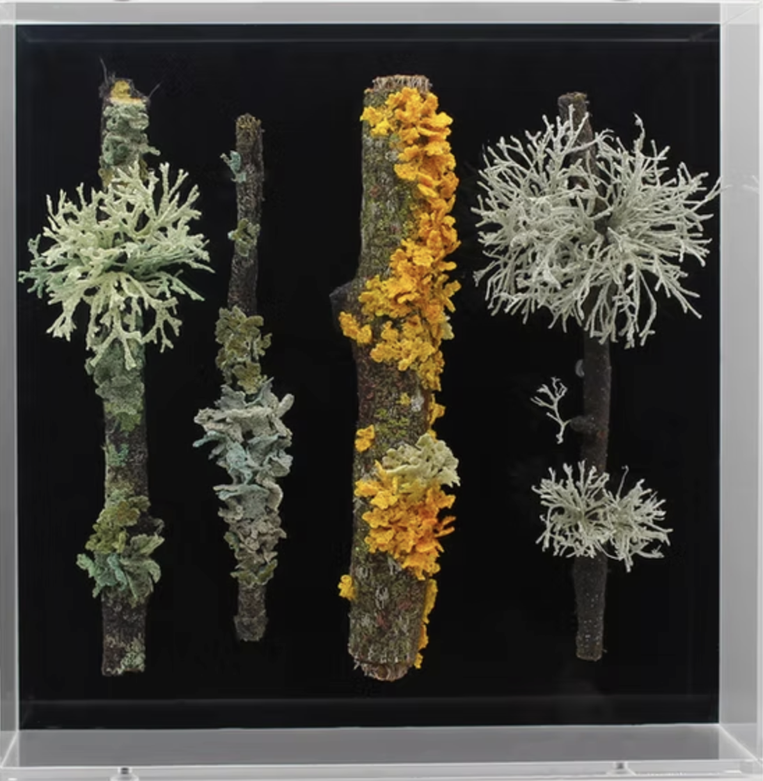 Ep 269, The Unreal Awesomeness of Amanda Cobbett's Embroidered Moss ...
