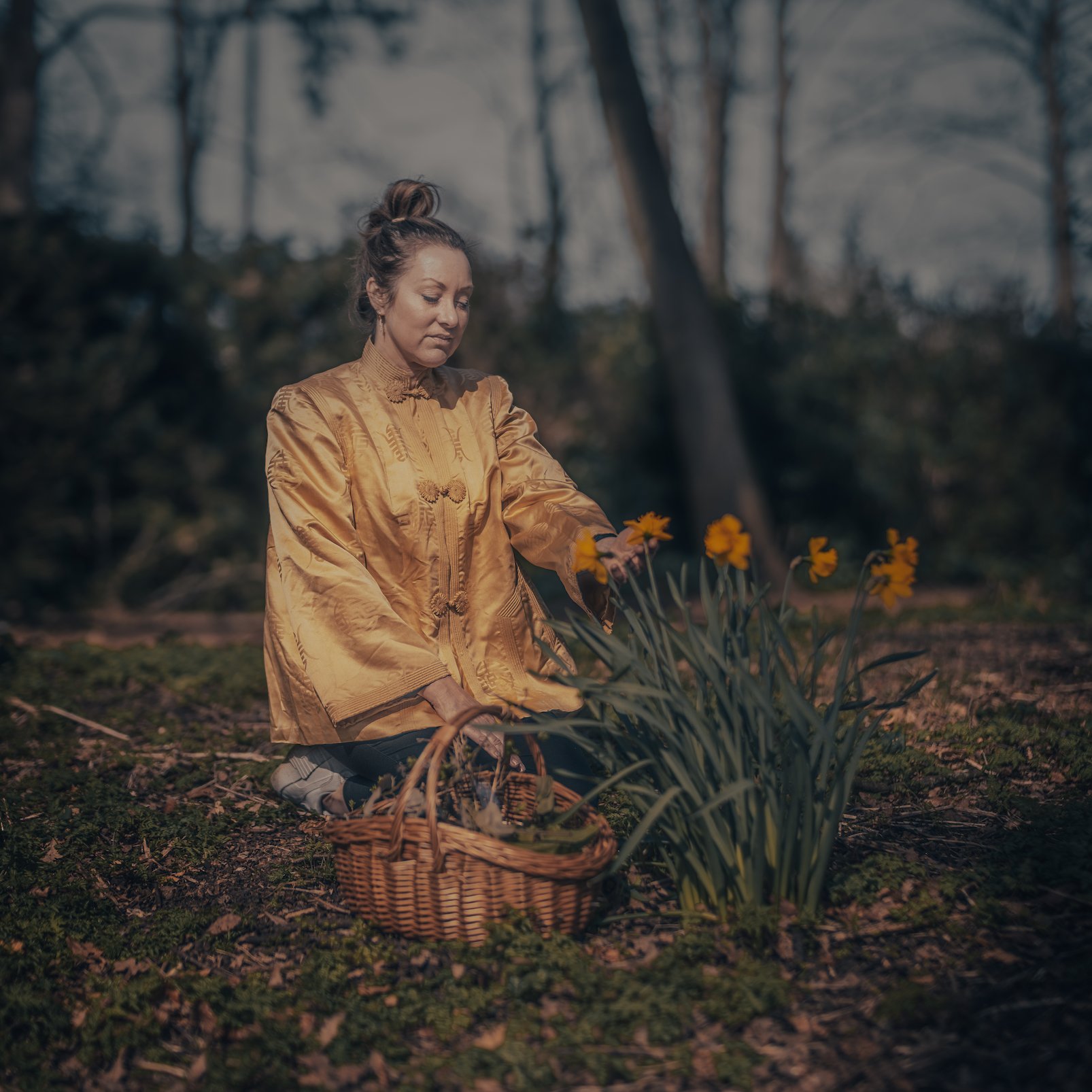 Ep 167, Back to Nature - Plant Dyes at Chelsea Flower Show — Wardrobe ...