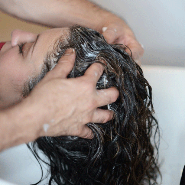 Services — Looks and Lovers