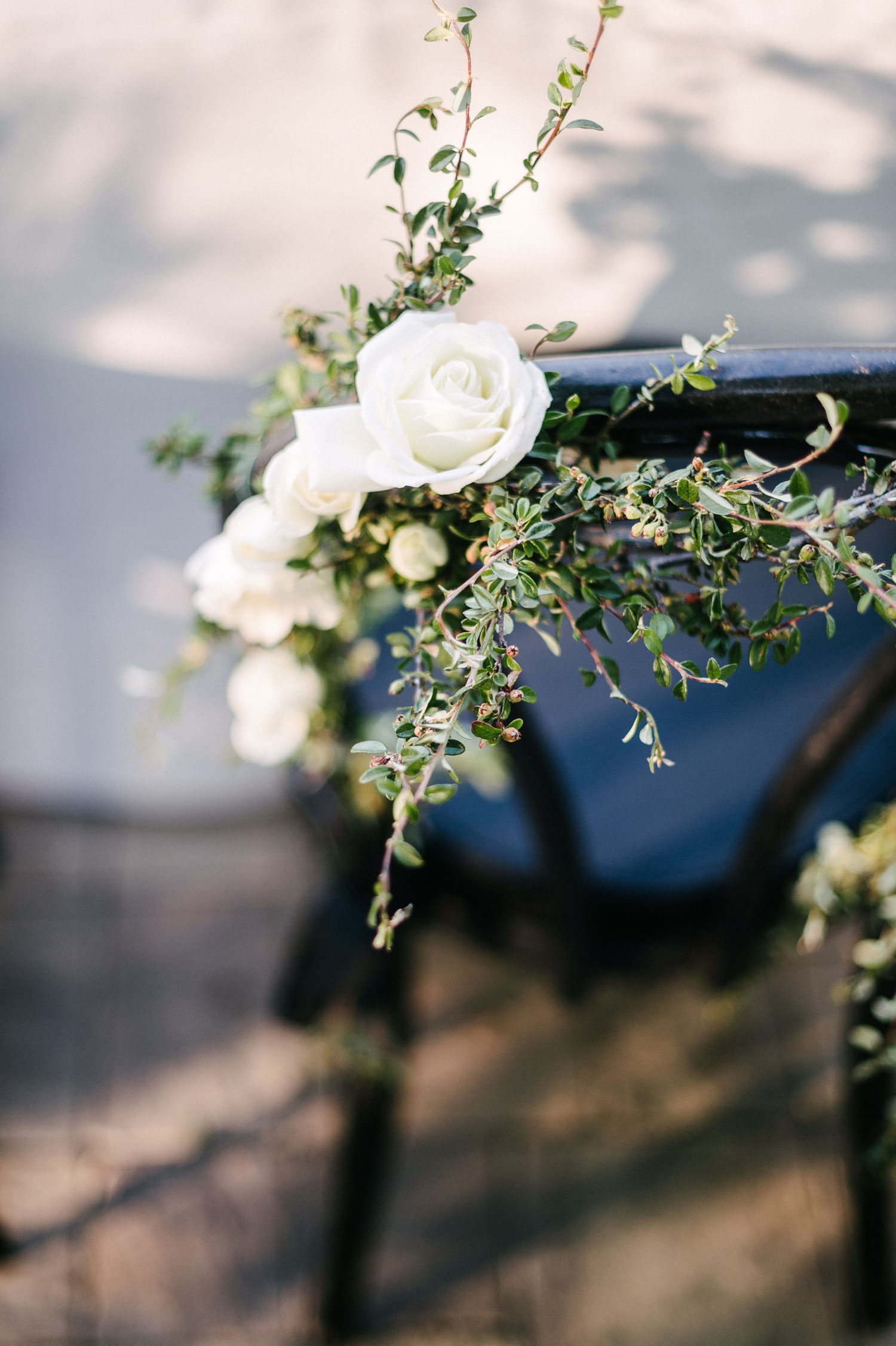 Jeanne and Beau — Max Gill Design