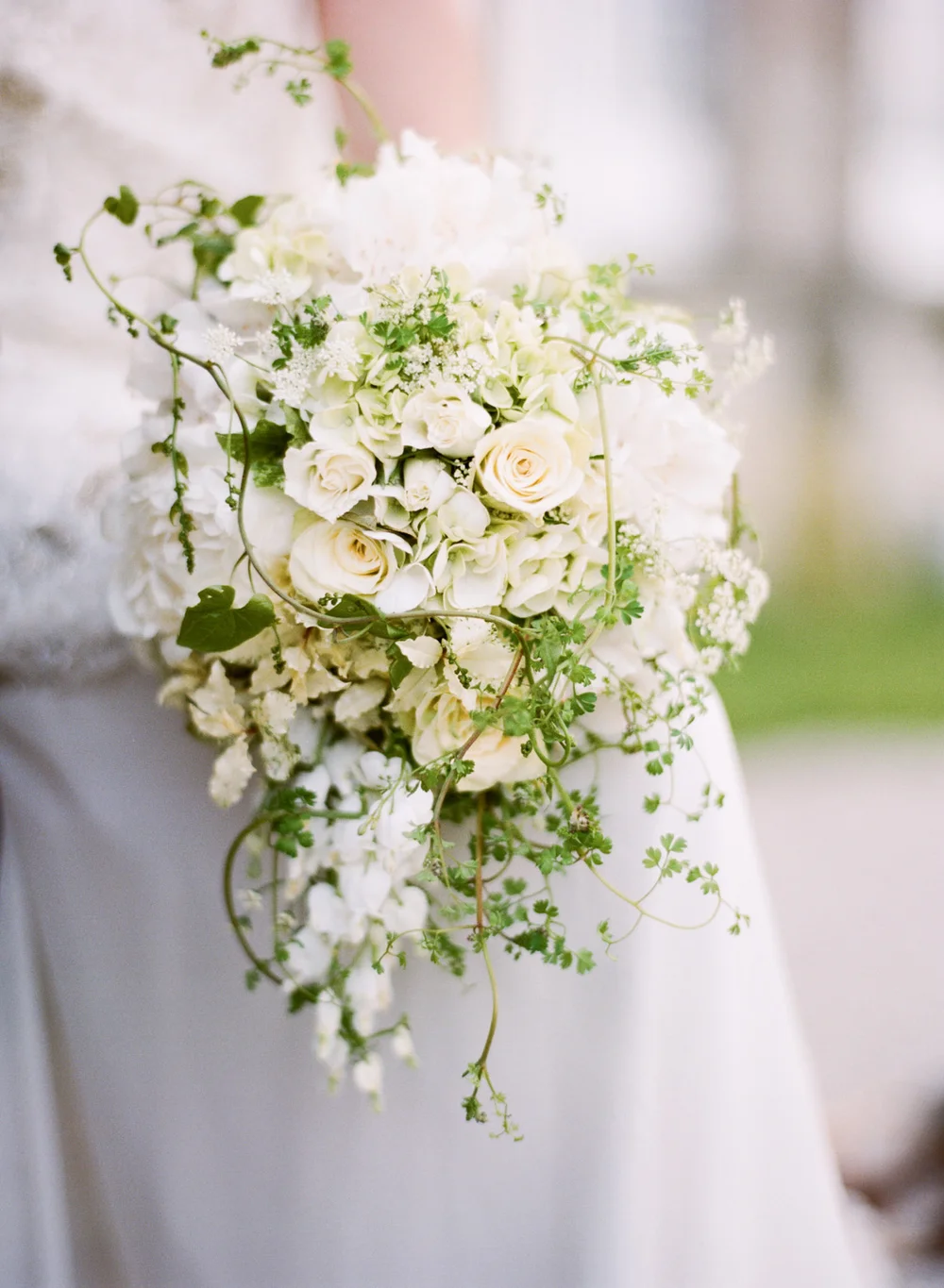 More — Max Gill Design