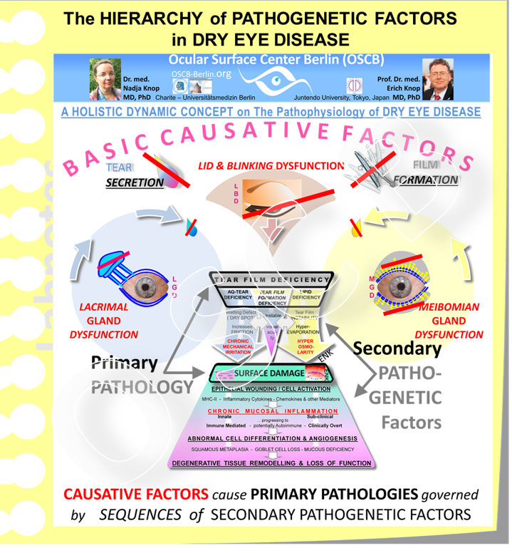 Deeper Insight Diagnosis-3 TEAR FILM — Ocular Surface Center Berlin