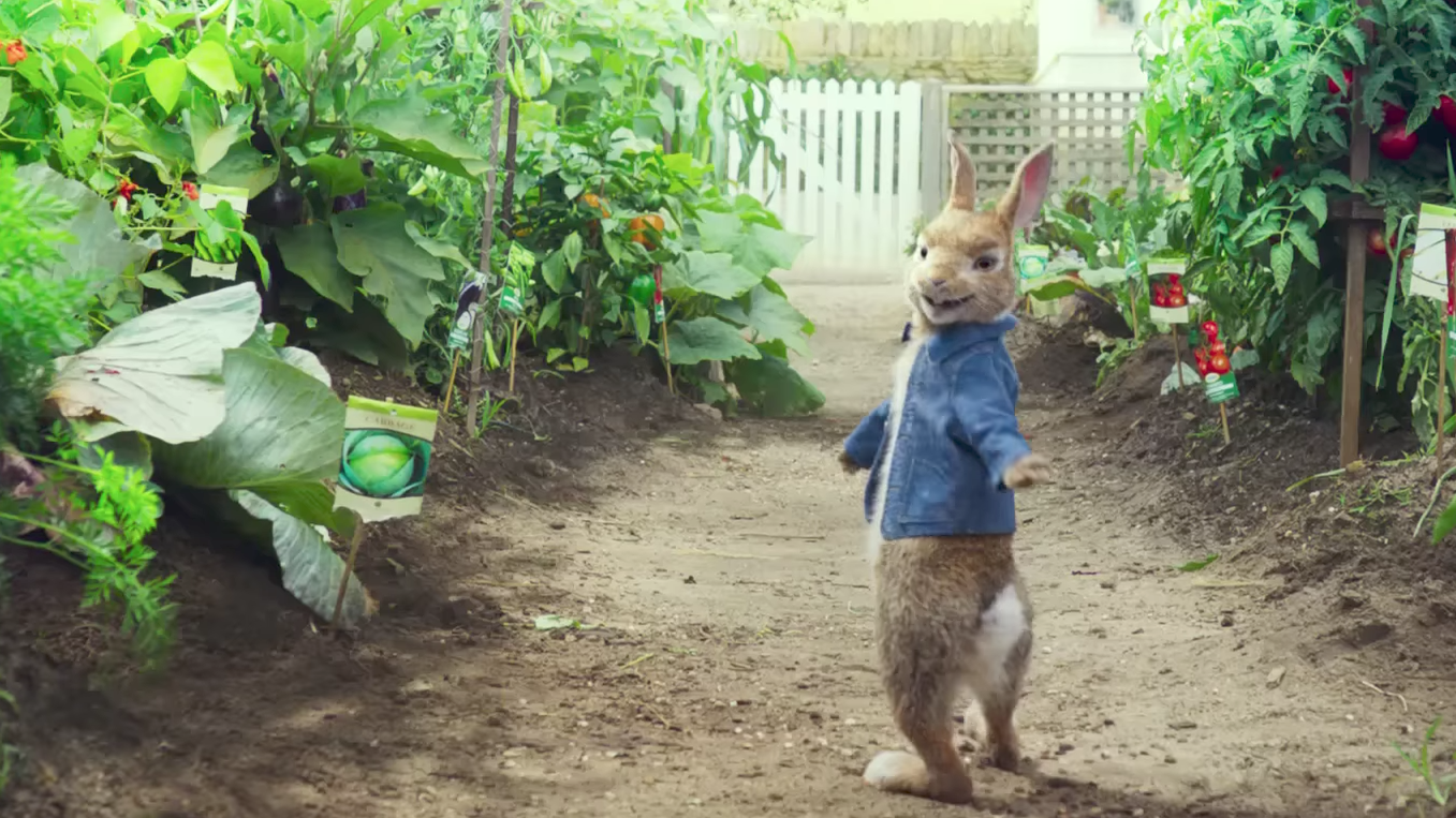 Why people are boycotting the Peter Rabbit film — Yours