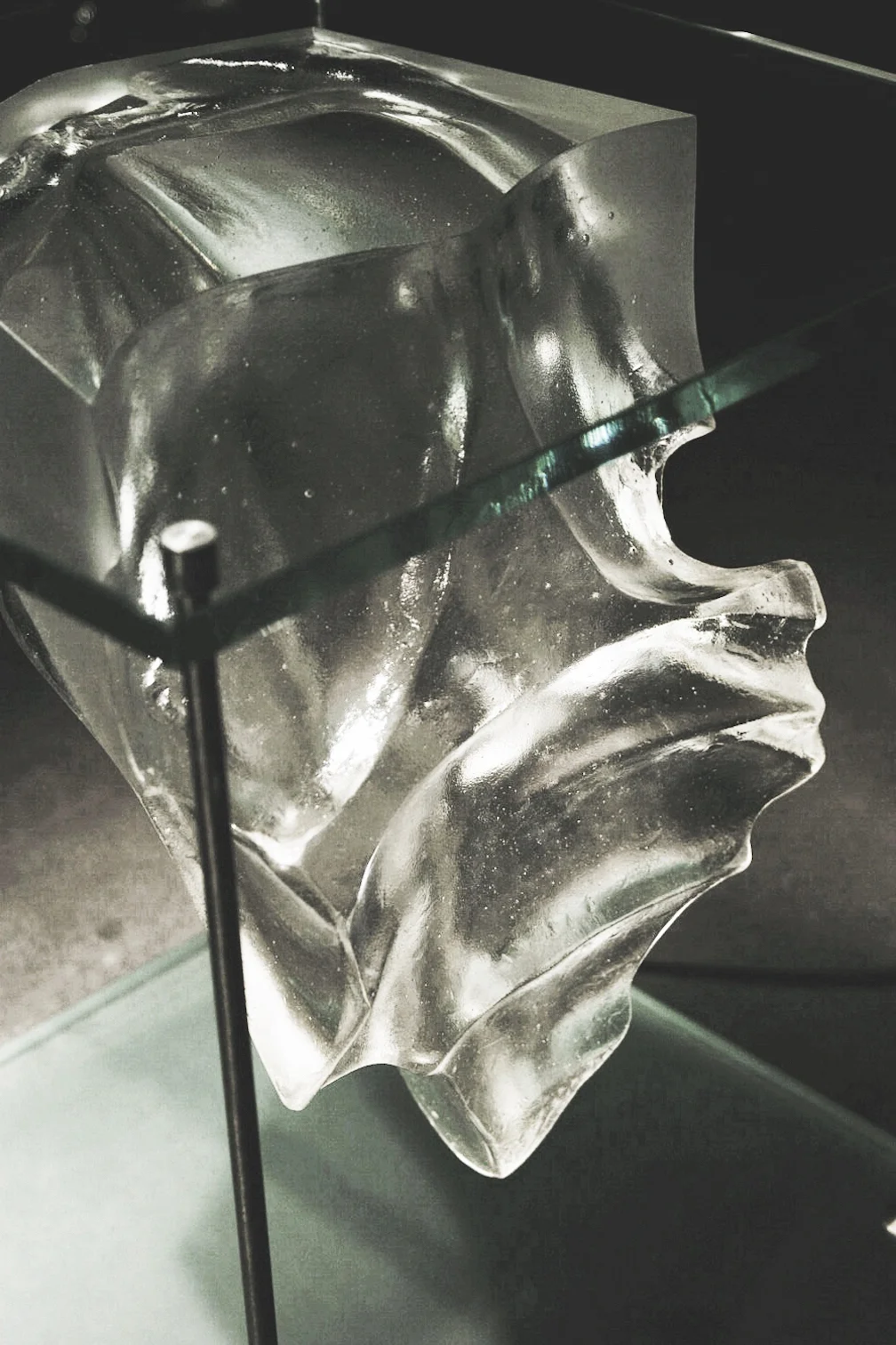 glass bodies — Maxwell Davis