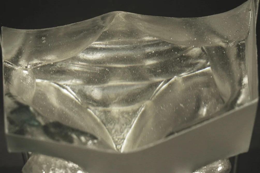 glass bodies — Maxwell Davis