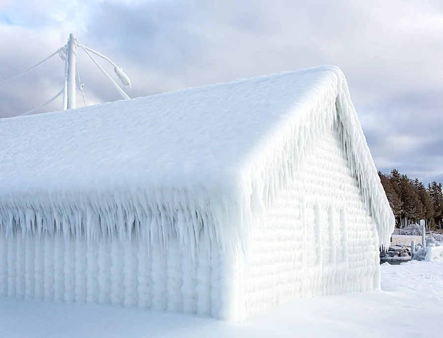 Danie Anderson — Fineline Designs Gallery