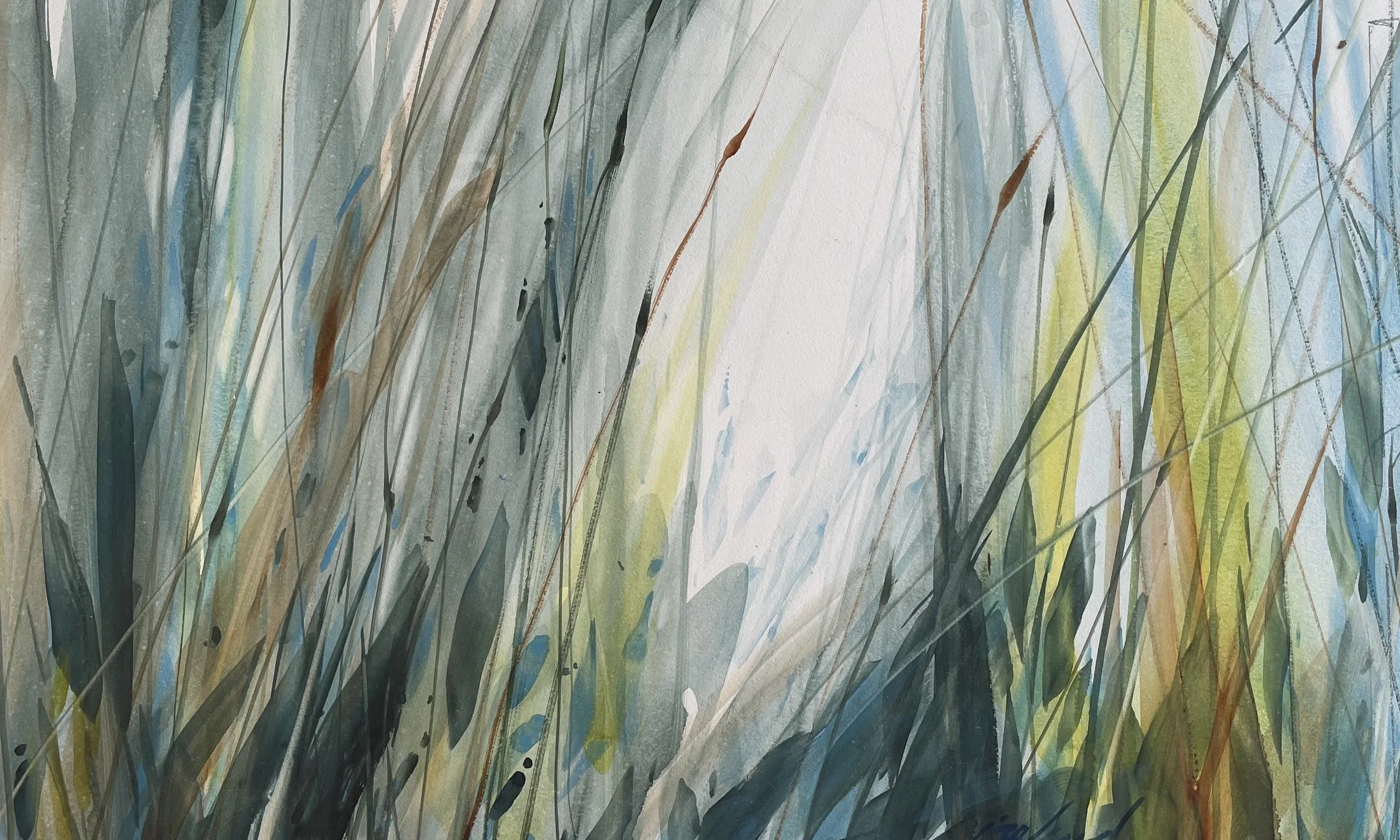 Michael Ireland — Fineline Designs Gallery