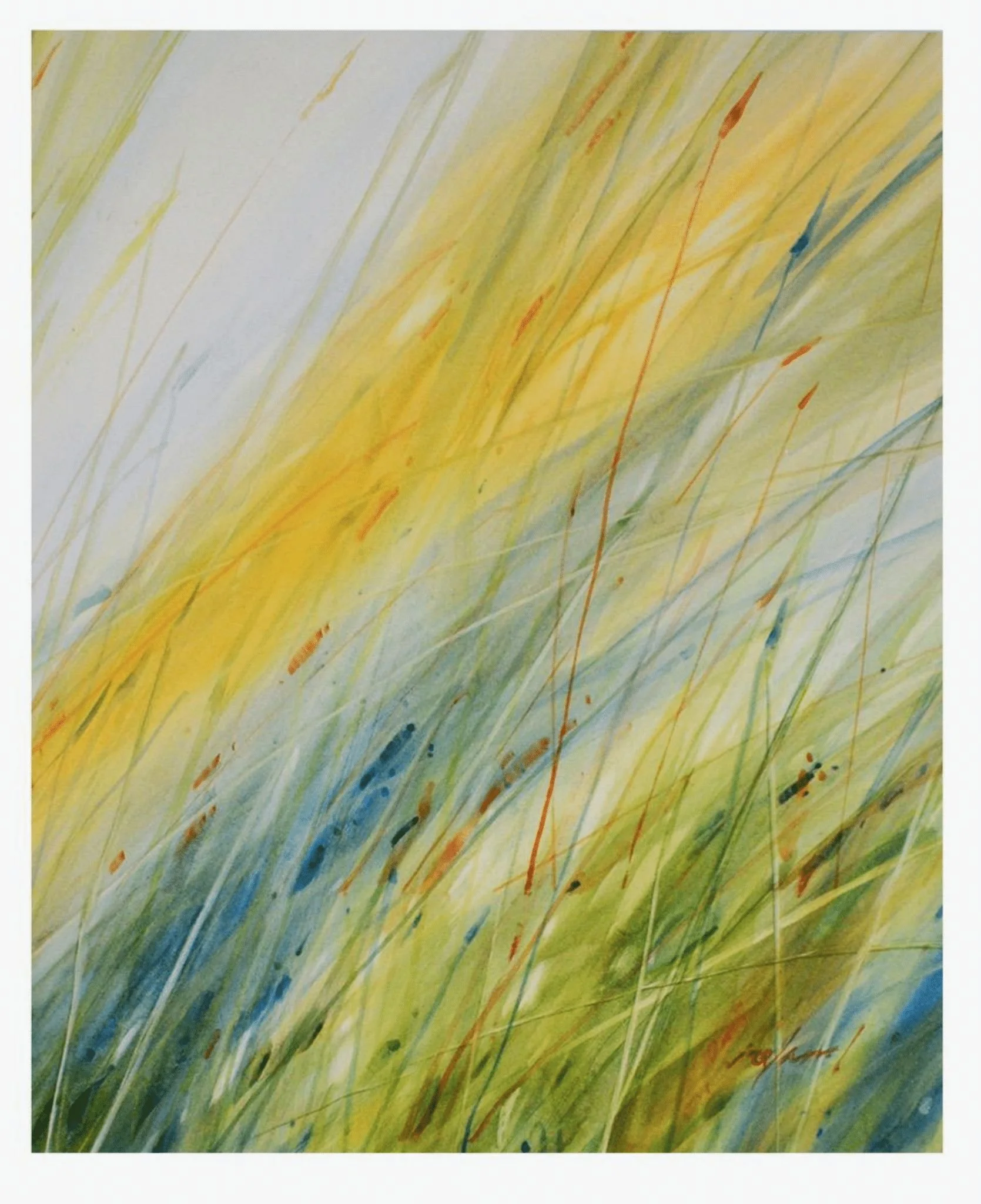 Michael Ireland — Fineline Designs Gallery