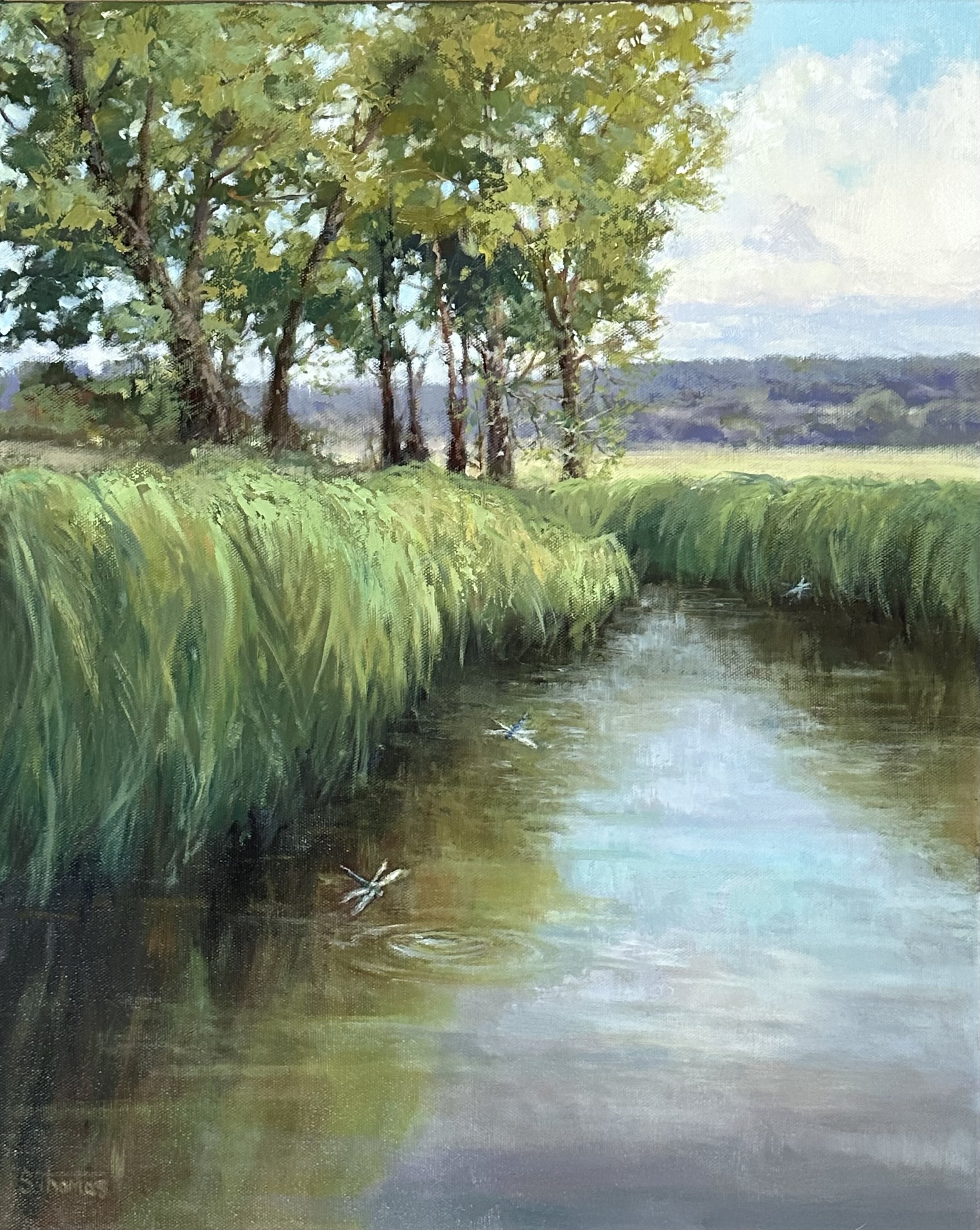 Sherrie Thomas — Fineline Designs Gallery