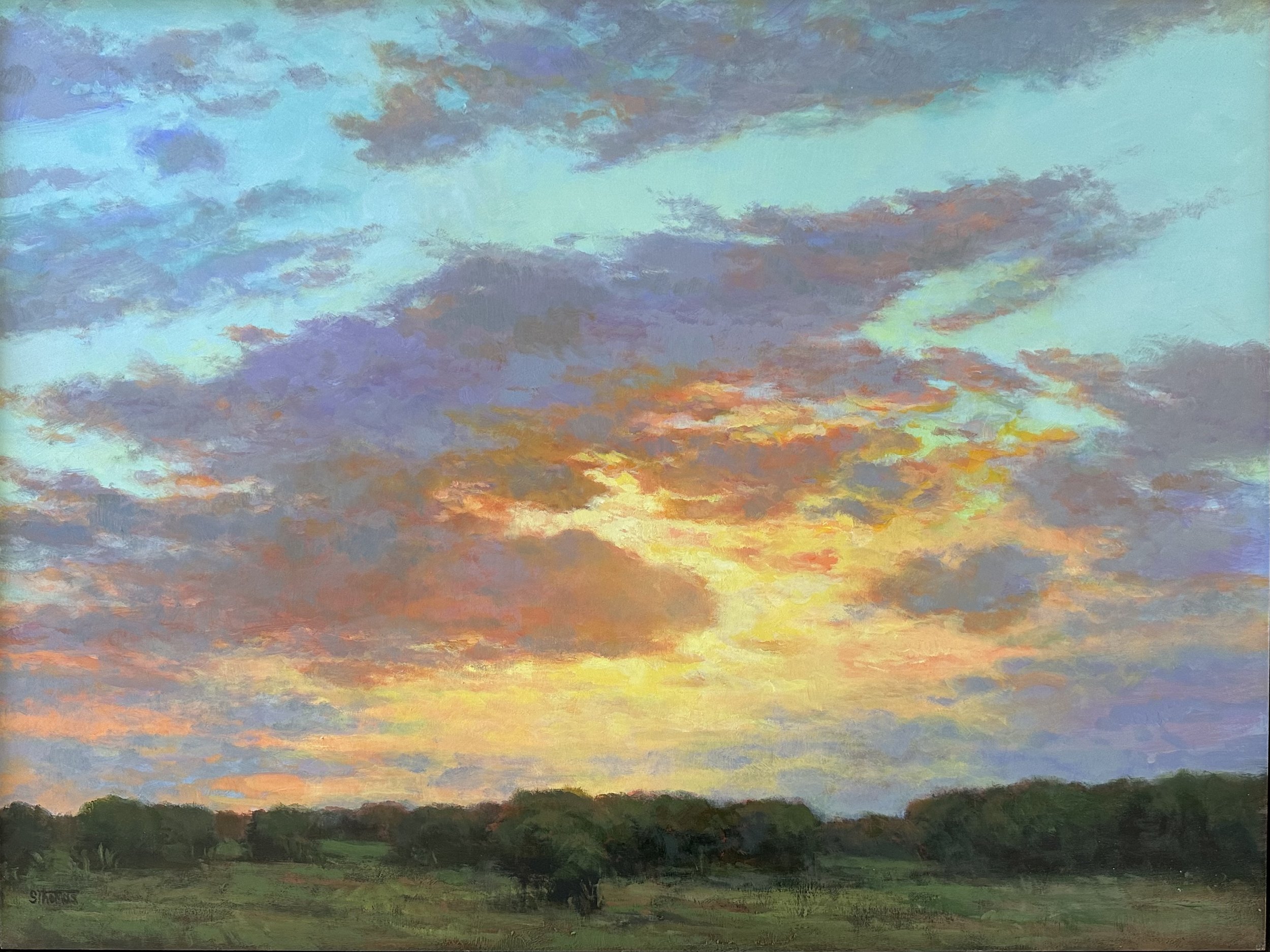 Sherrie Thomas — Fineline Designs Gallery