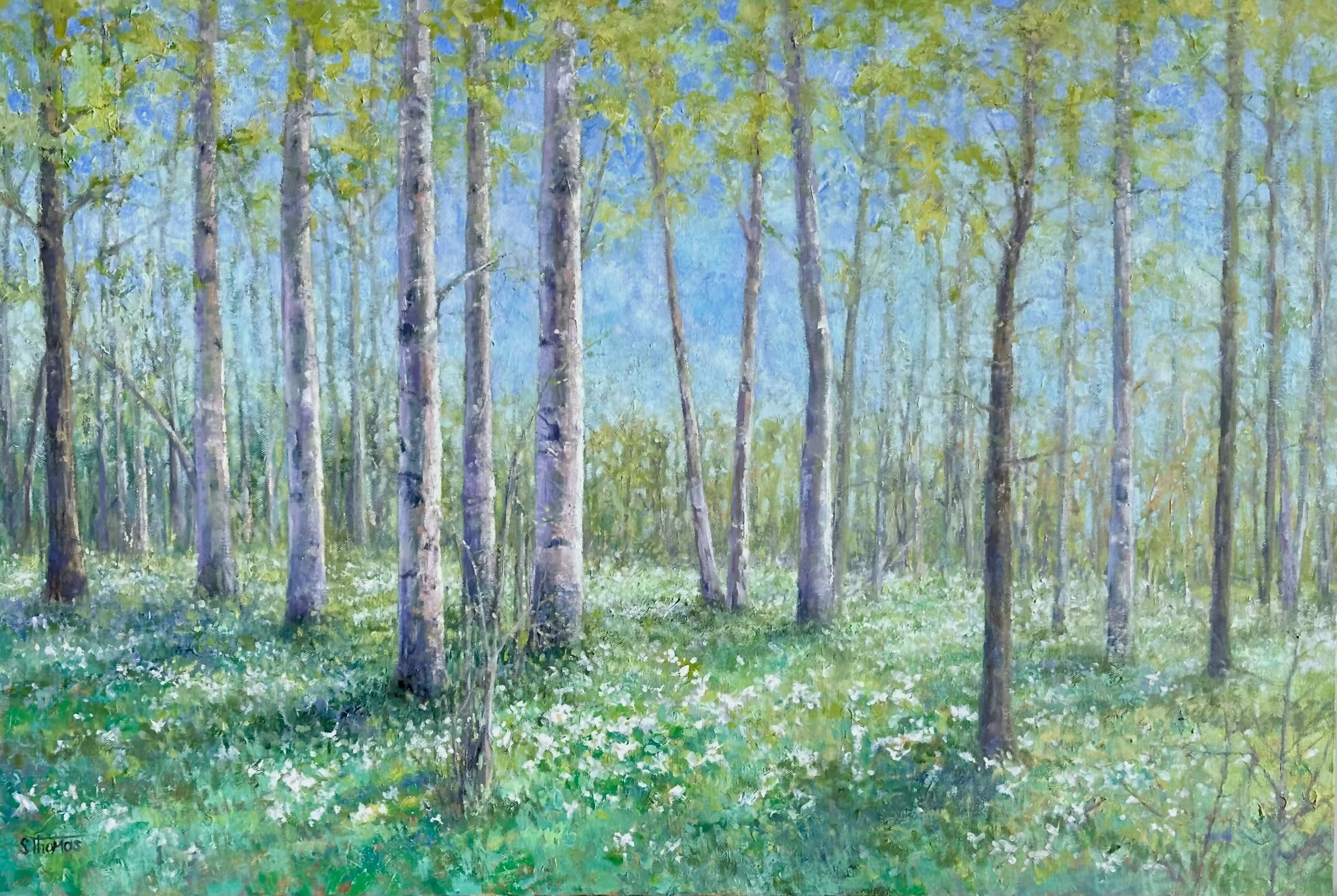 Sherrie Thomas — Fineline Designs Gallery