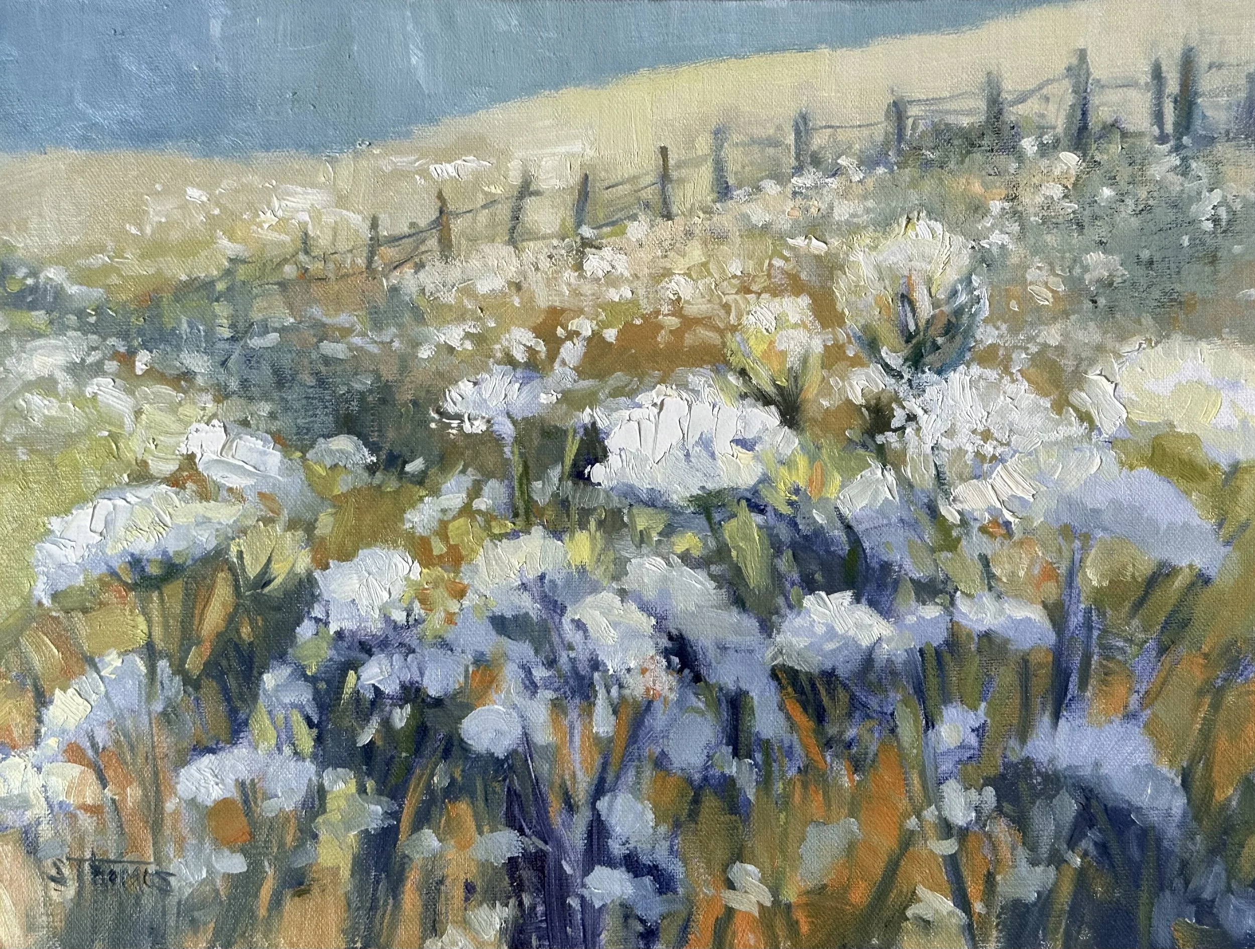 Sherrie Thomas — Fineline Designs Gallery