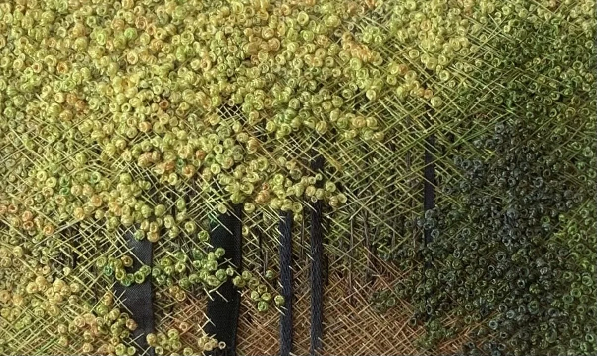 Martha Fieber — Fineline Designs Gallery