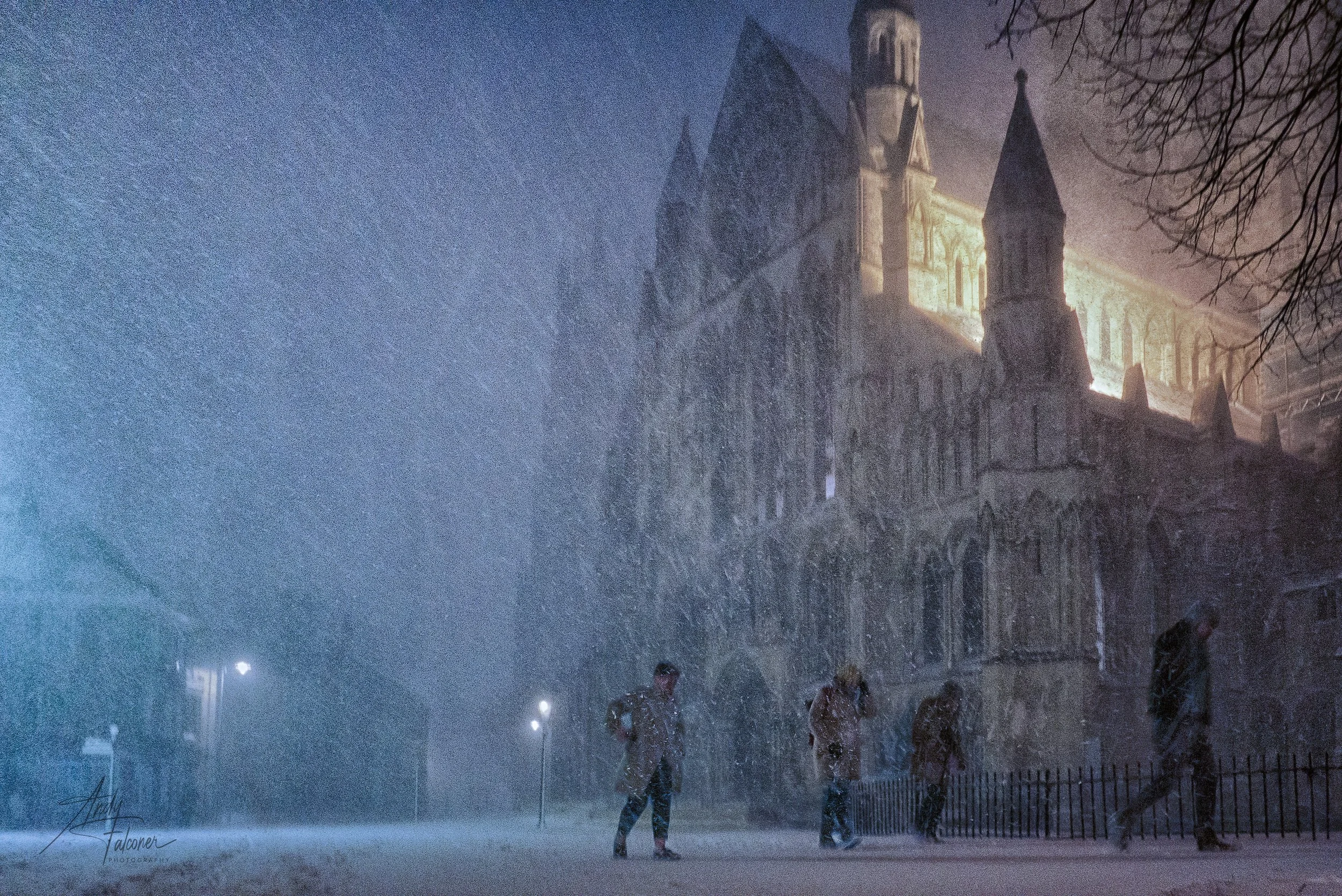 Andy Falconer Photography