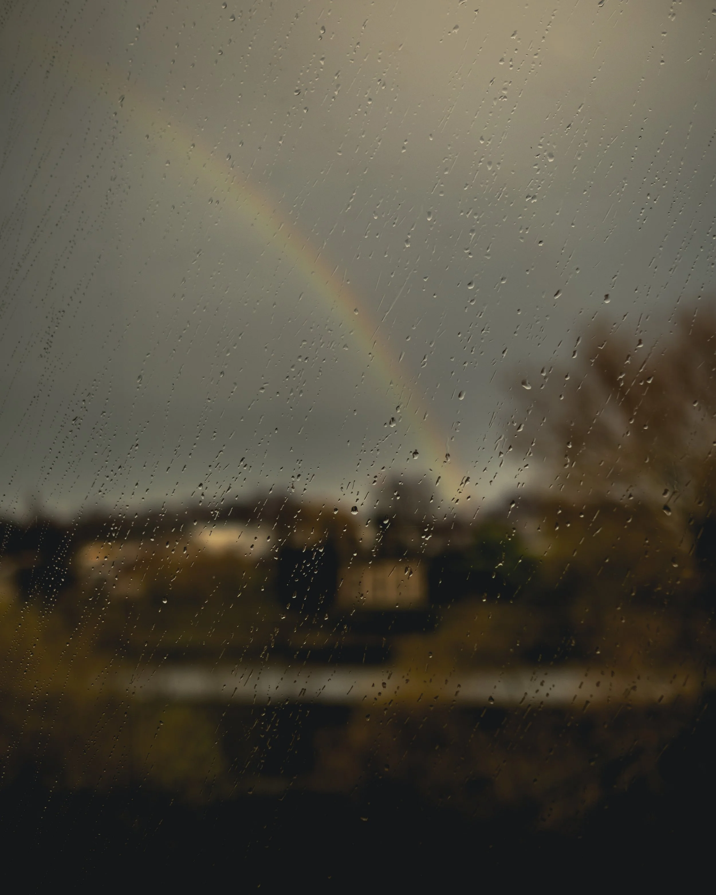 Andy Falconer Photography