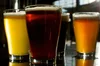 Our Beers — Idol Beerworks