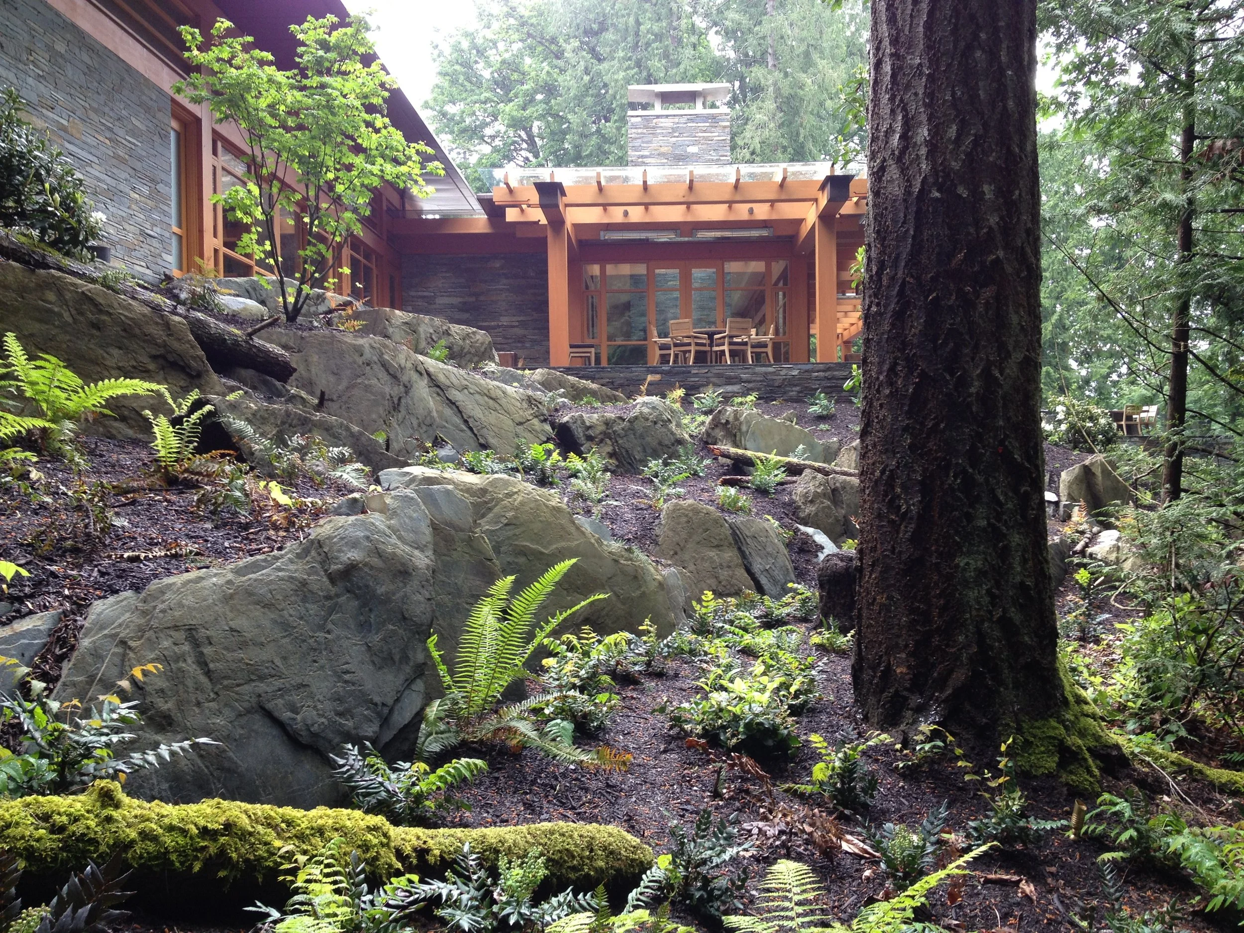 Landscape Design, Native PLANT Landscapes, Landscape Design Victoria ...