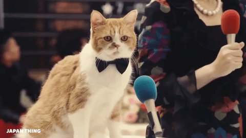 Game Trailers as Tutorials - Part 2 — Derek Lieu Creative - Game ...