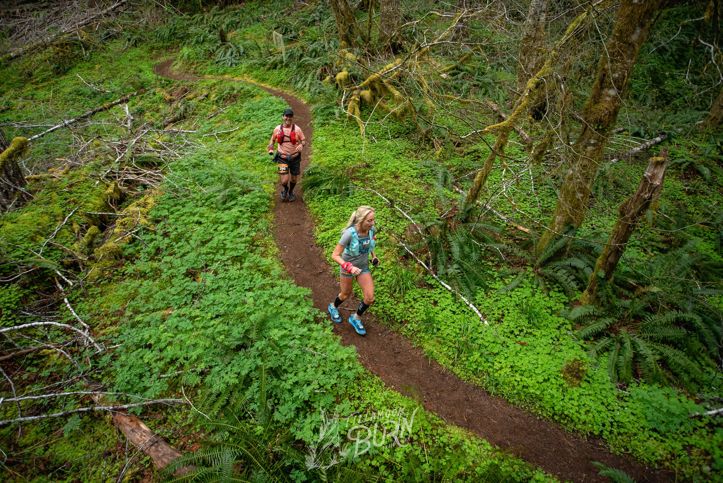 Tillamook Burn Trail Run — Daybreak Racing