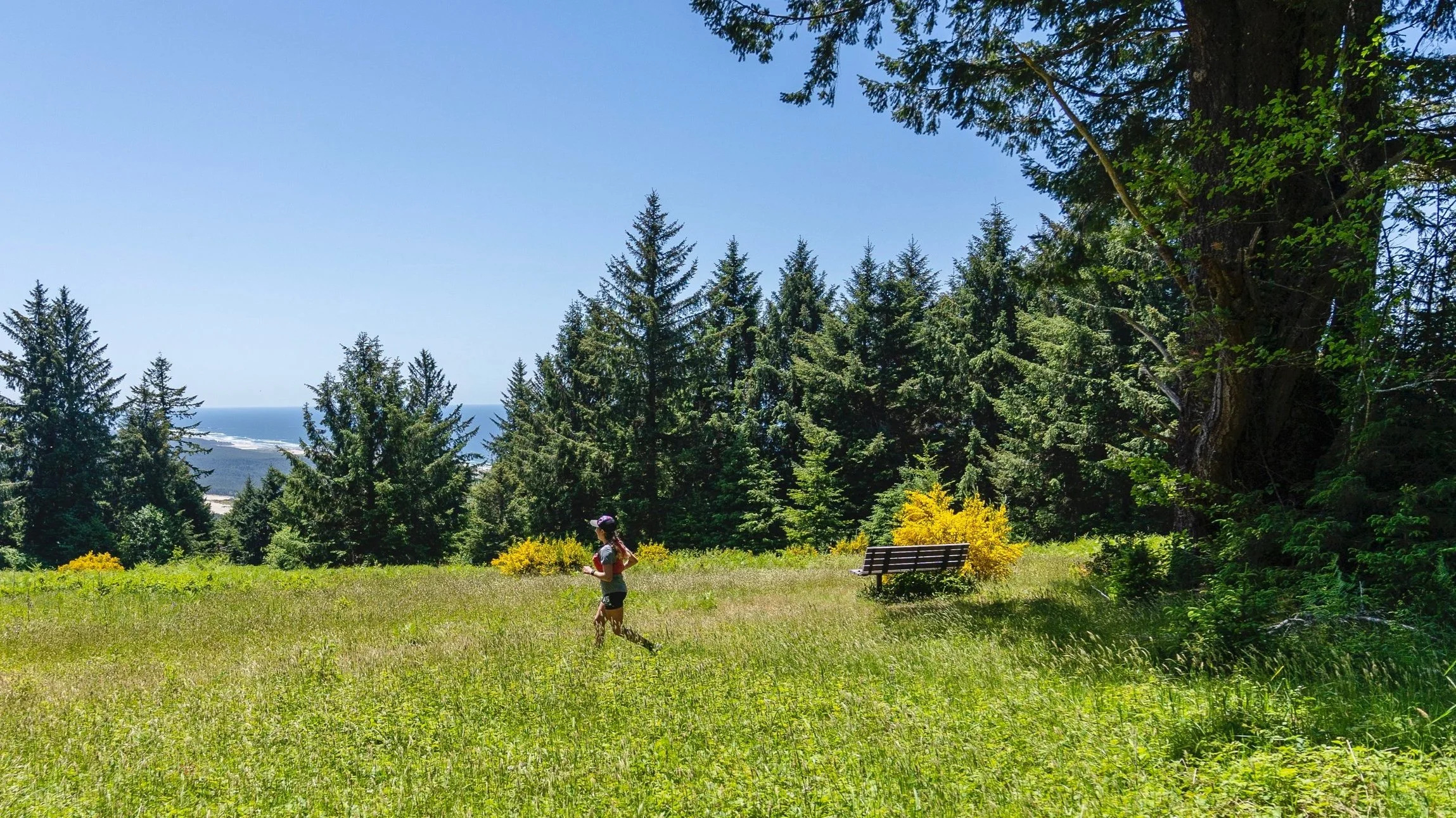 Cape Mountain — Daybreak Racing