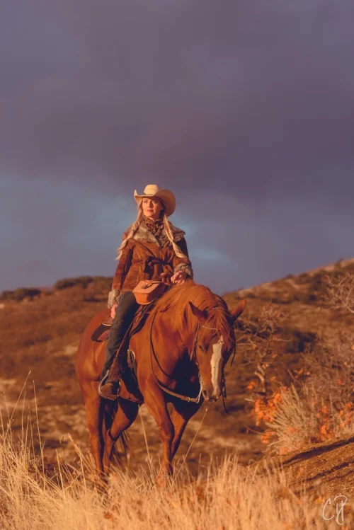 How Broke is Your Horse? — Renae Cowley