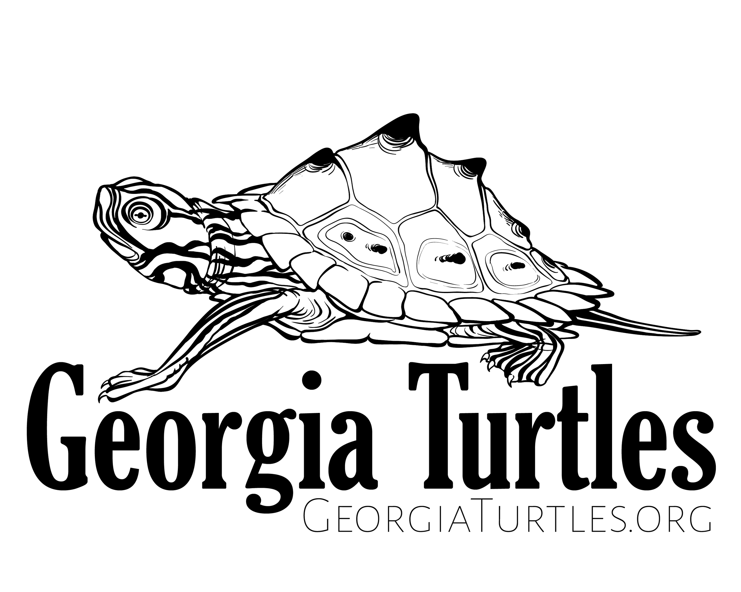 Science Illustration — Emily Kearney-Williams