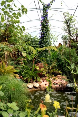 The Cloud Garden — Lullingstone Castle & The World Garden