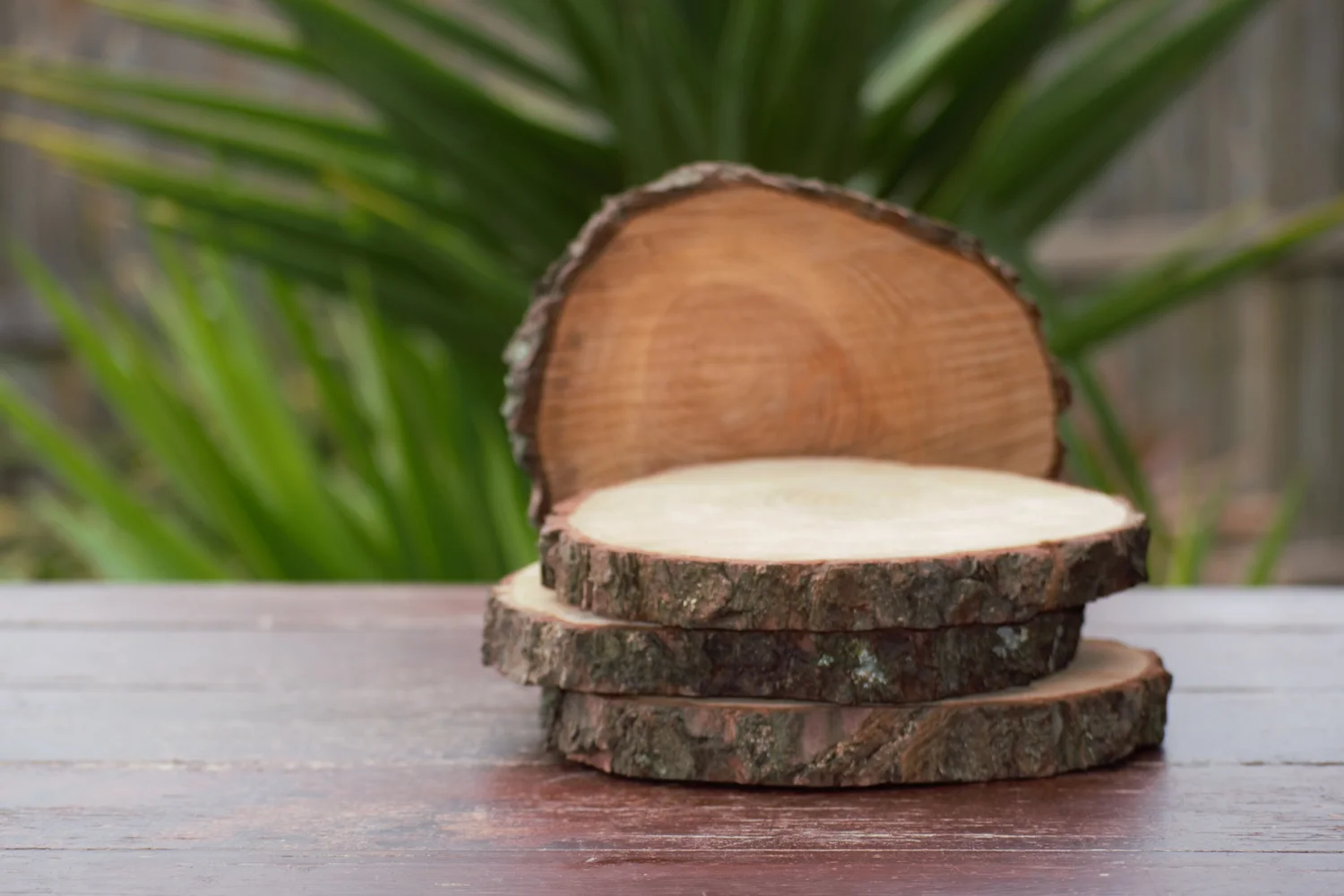 WOODEN ROUNDS — One Big Day Event Hire | Melbourne