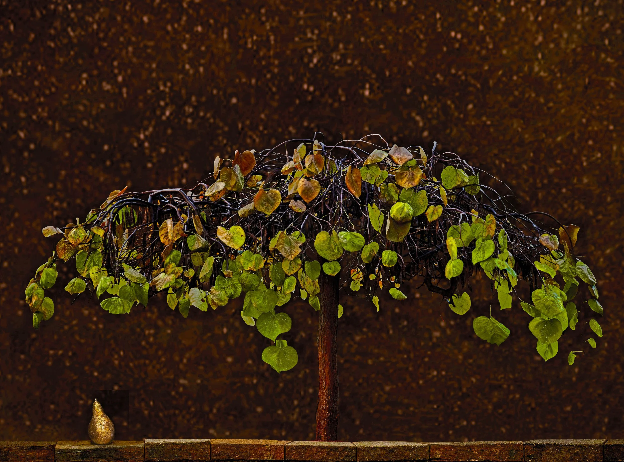 Mary Block — Gallery Victor