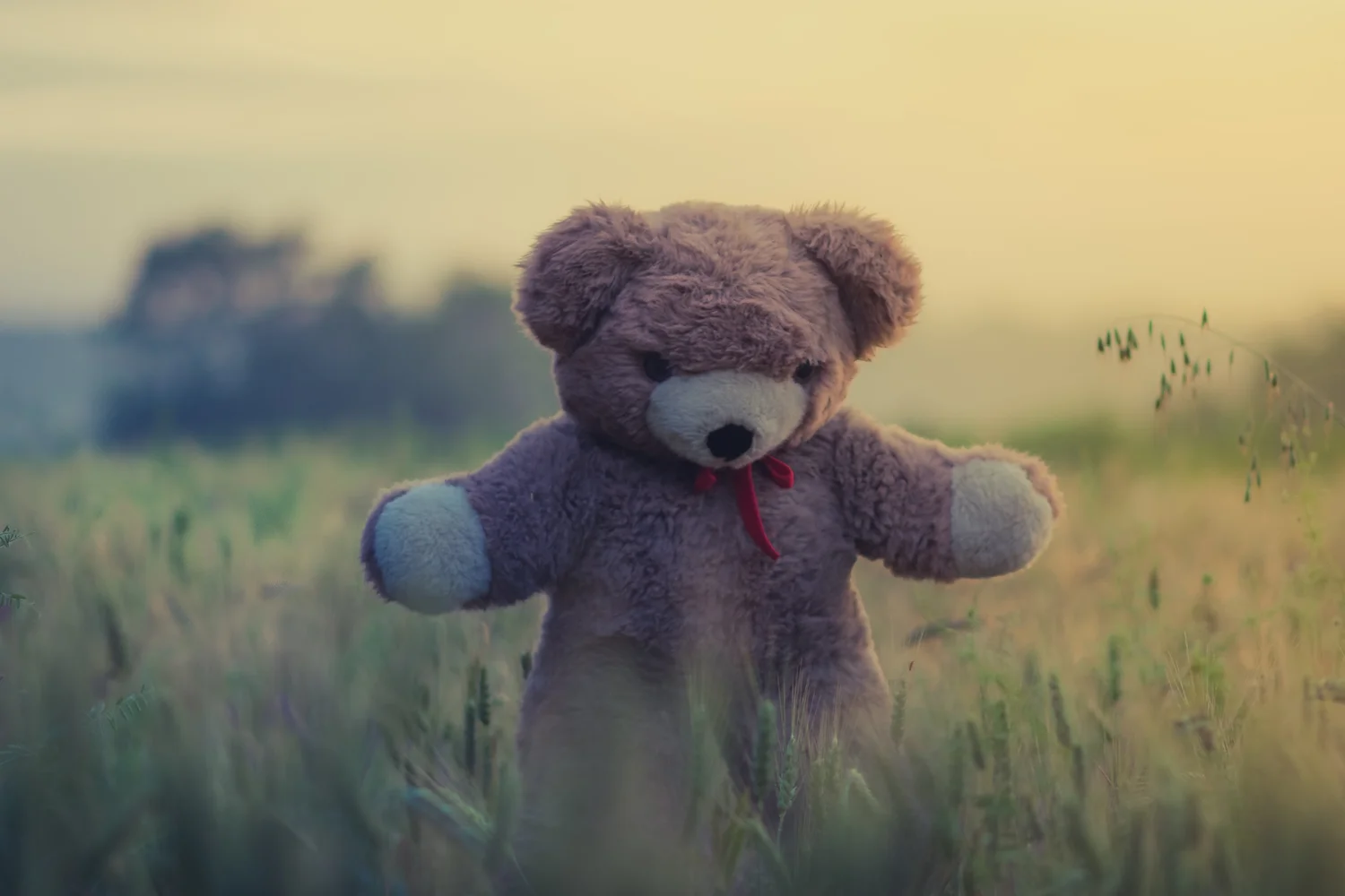 Learning Obedience through Suffering — Things of the Sort